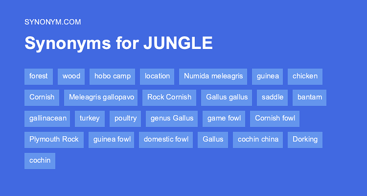 Another Word For JUNGLE Synonyms Antonyms