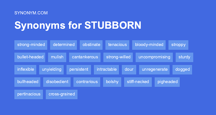 Another Word For STUBBORN Synonyms Antonyms