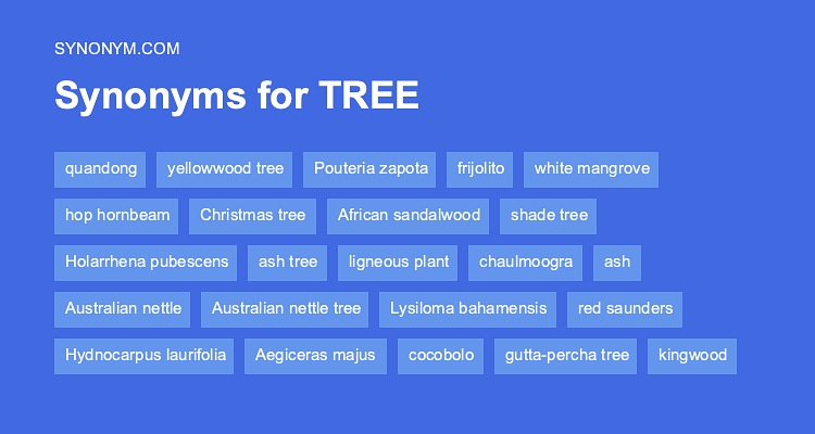 Another Word For TREE Synonyms Antonyms