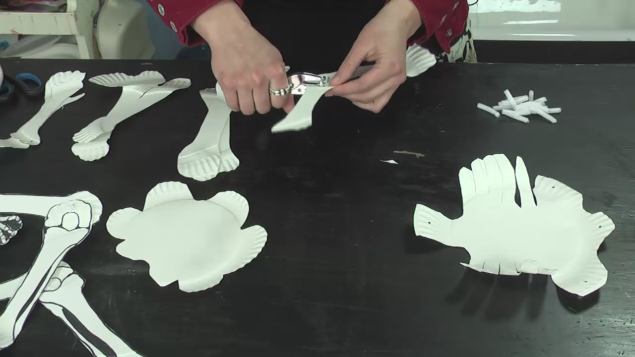How To Build A 3D Model Of A Skeleton EHow How To Build A 3D Model Of A Skeleton EHow