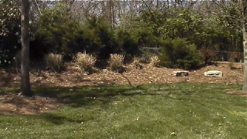 Landscaping Ideas For Property Boundaries Garden Guides