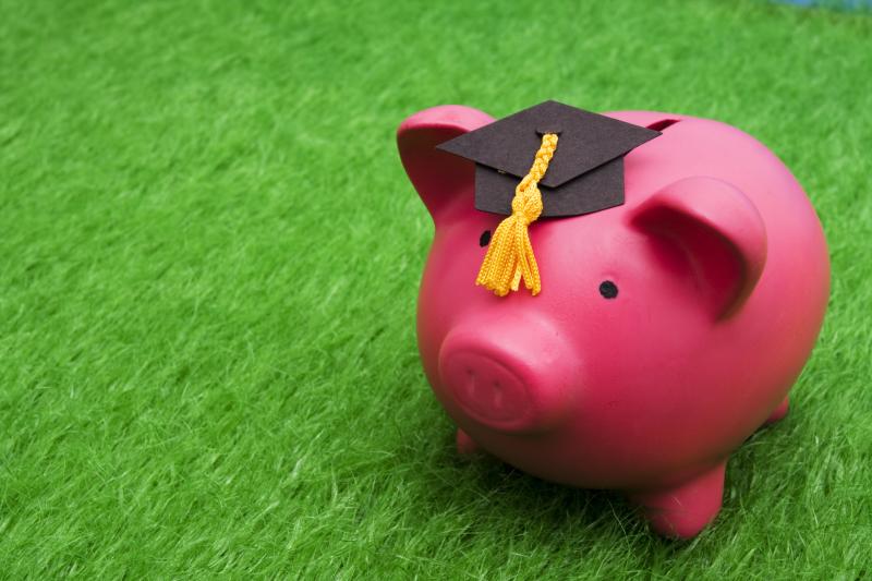 how-to-get-your-sallie-mae-federal-student-loans-forgiven-synonym