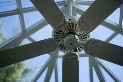 How To Fix Warped Ceiling Fan Blades | Shelly Lighting